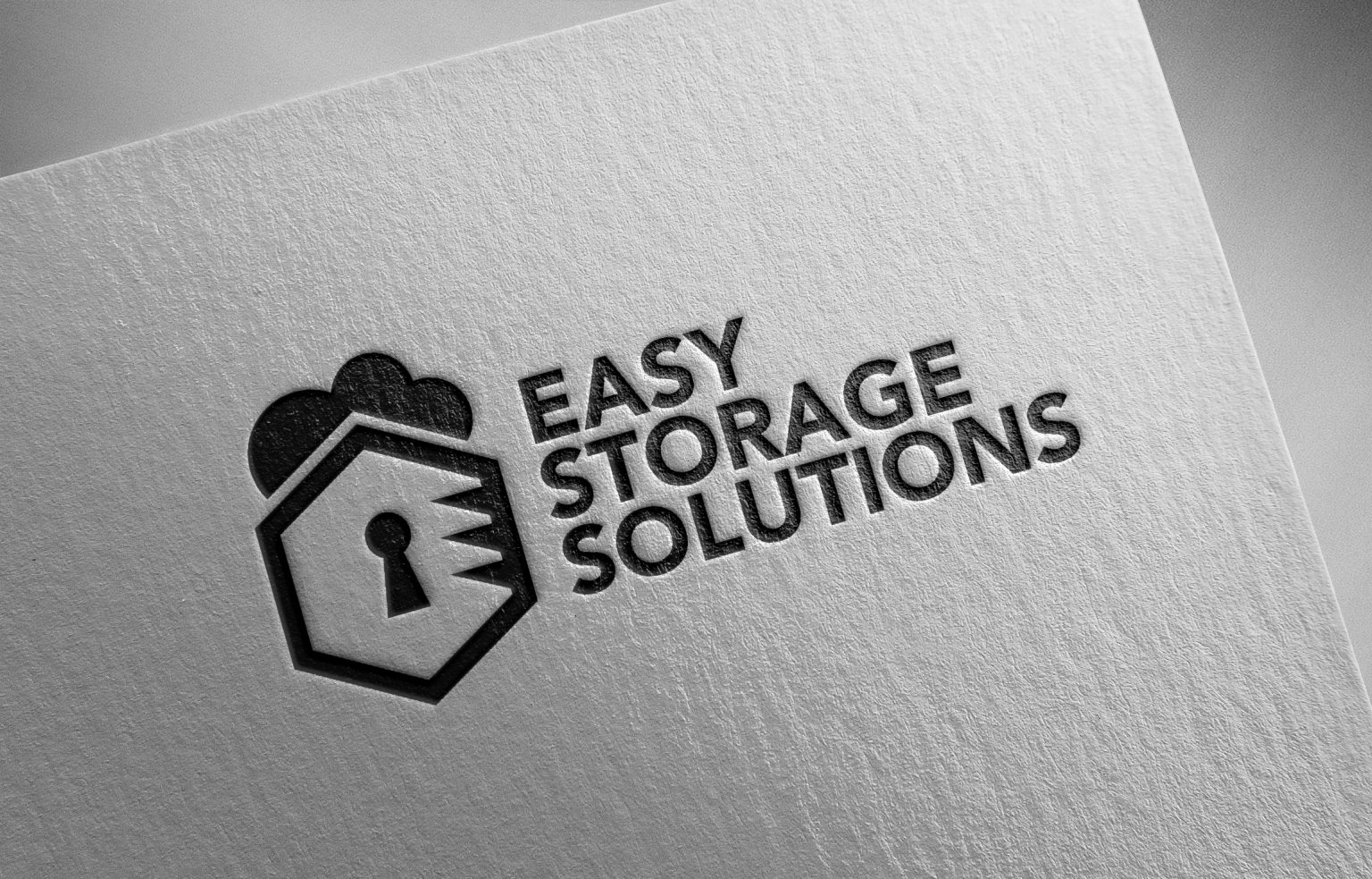 EASY STORAGE SOLUTAION LOGO DESIGN - Munez Studio